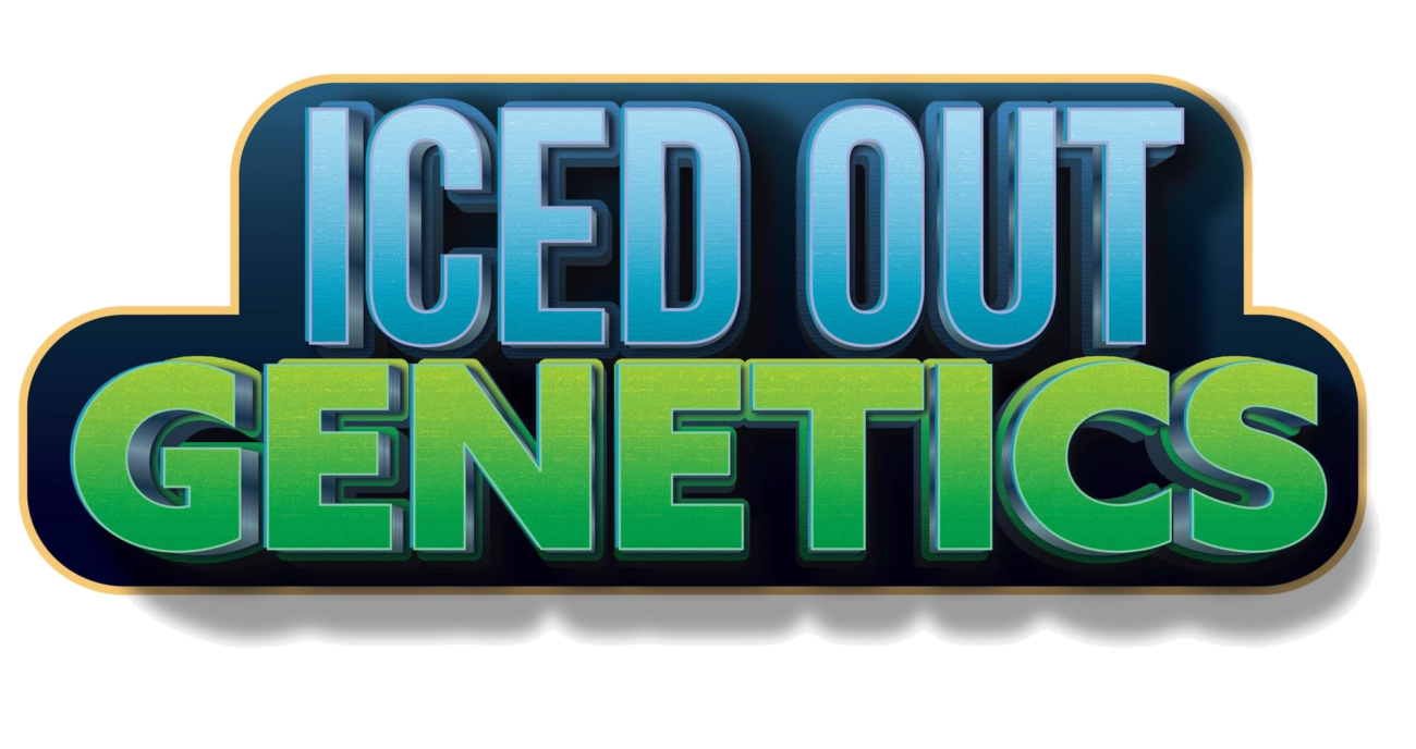 Strongest Marijuana 2024: Ranking Cannabis Strains Based On Shocking THC