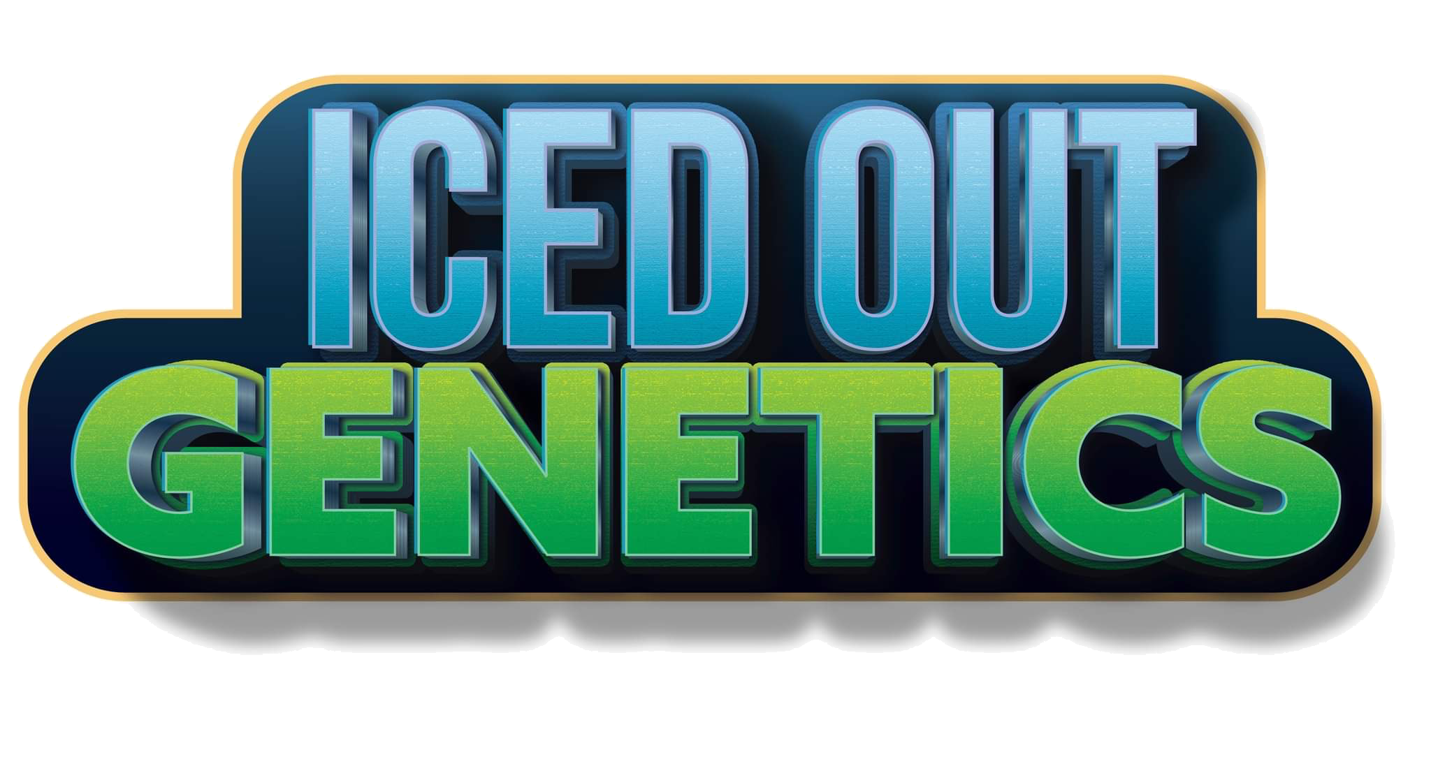 Strongest Marijuana 2024: Ranking Cannabis Strains Based On Shocking THC