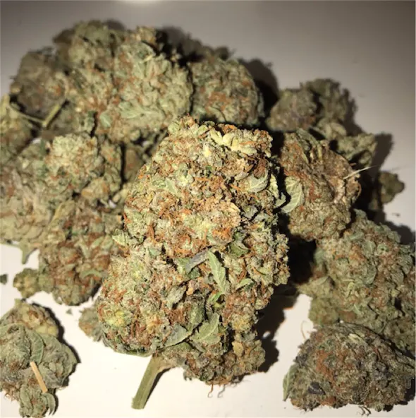 Stardawg Strain