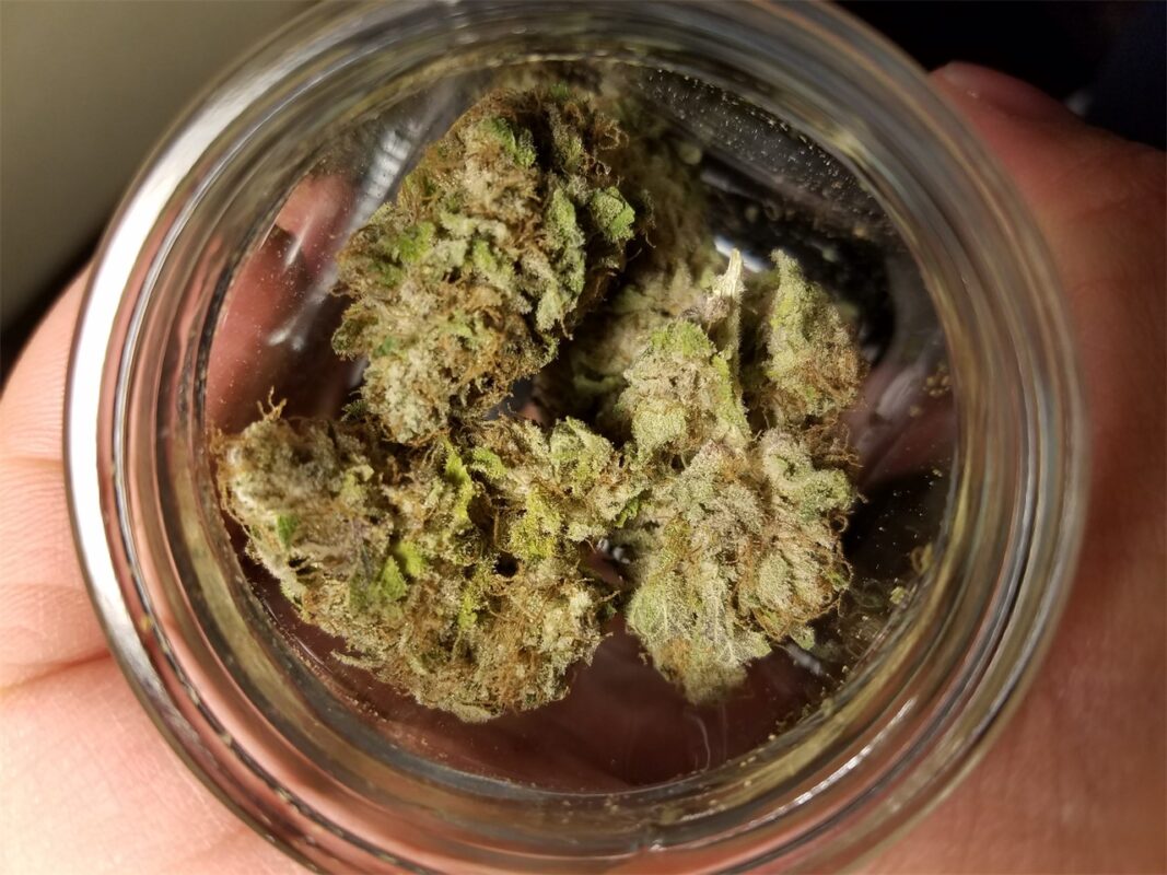 Electric Kool Aid Strain