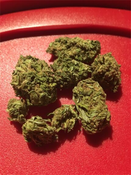 Gooberry Strain - Iced Out Genetics