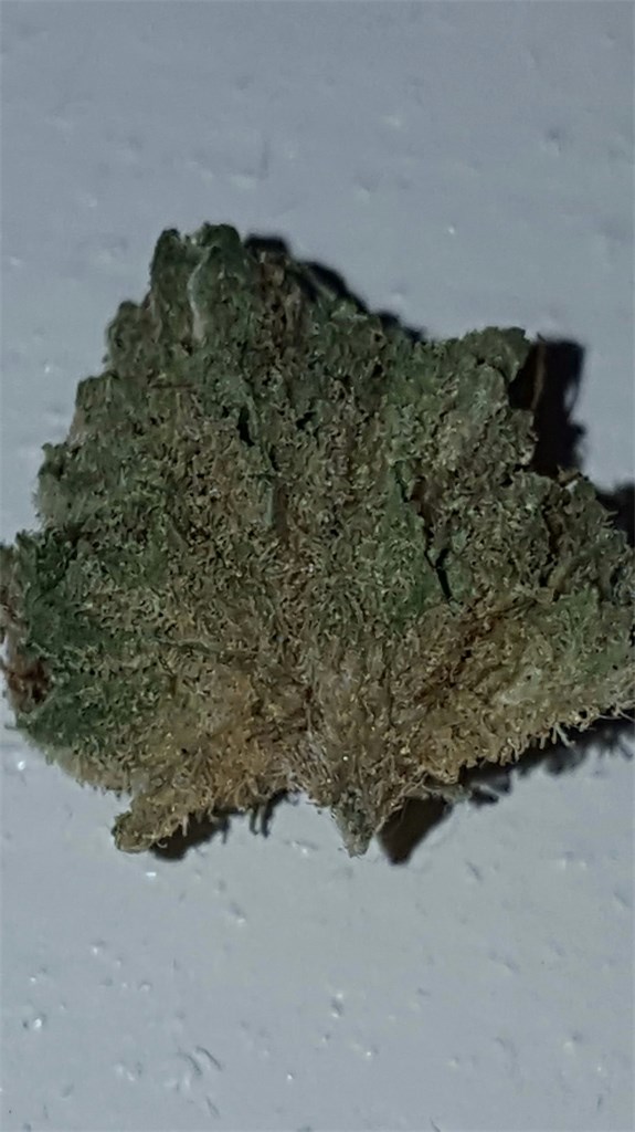 Phantom Cookies Strain