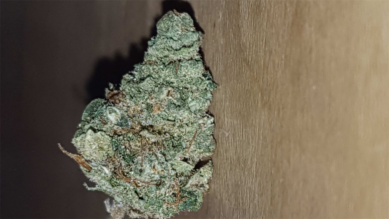 Phantom Cookies Strain