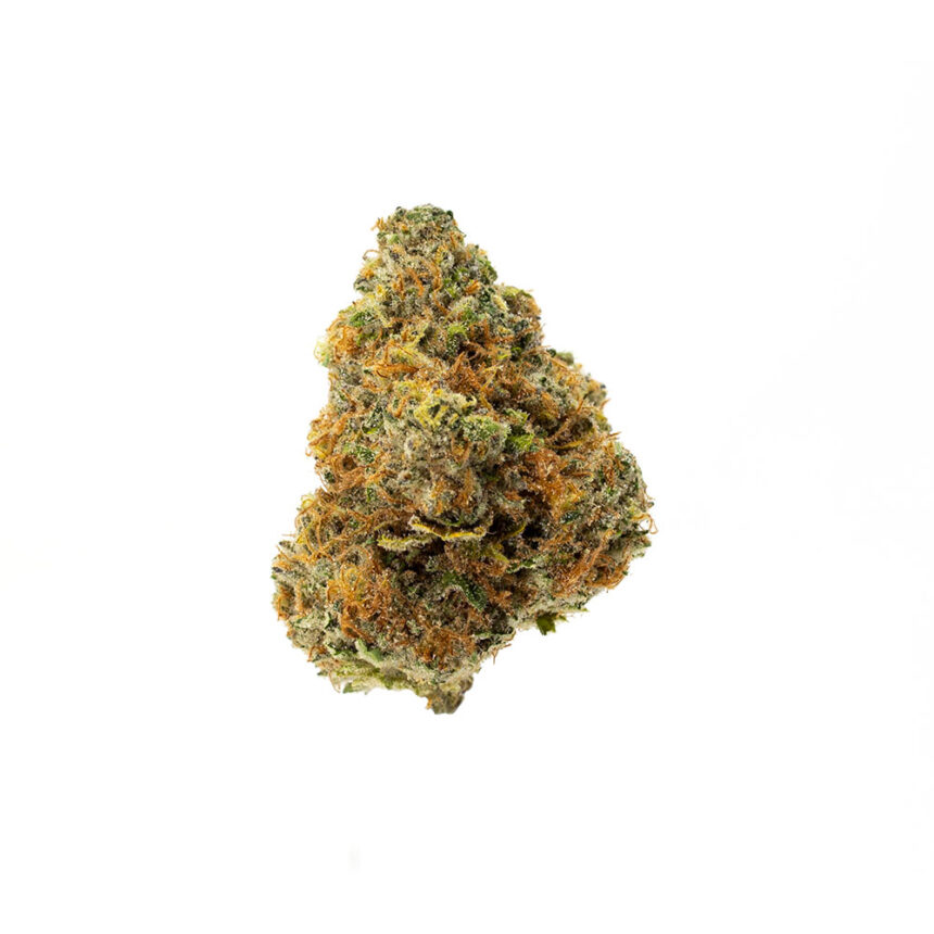 5 Unique Characteristics Of Devil's Lettuce Cannabis Strain - Iced Out ...